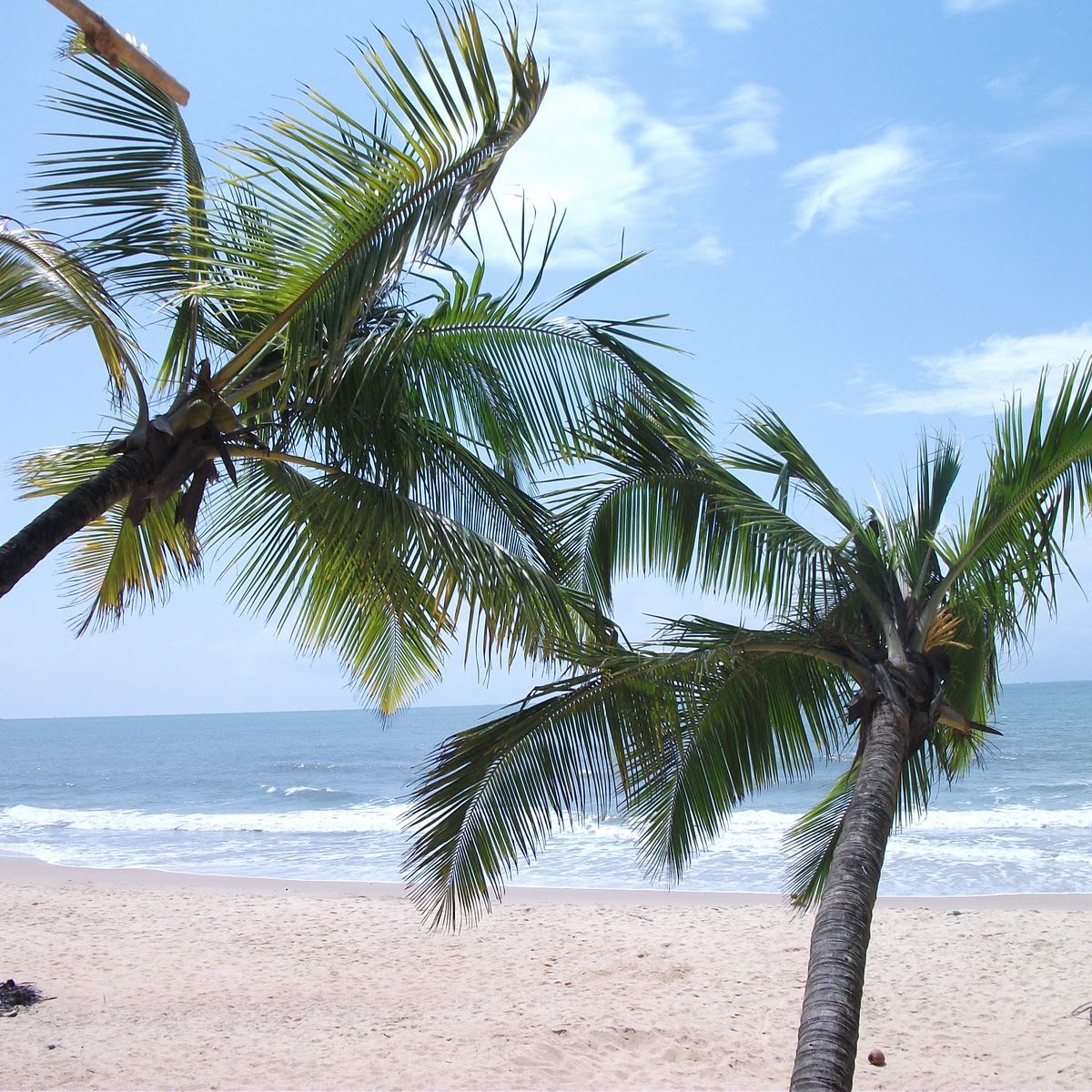 Eight Indian beaches get ‘Blue Flag’ tag, create record