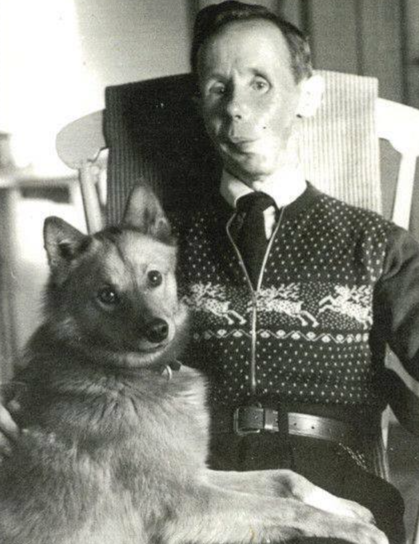 Sniper Simo Häyhä - the ghost of world war 2 - The Wonk